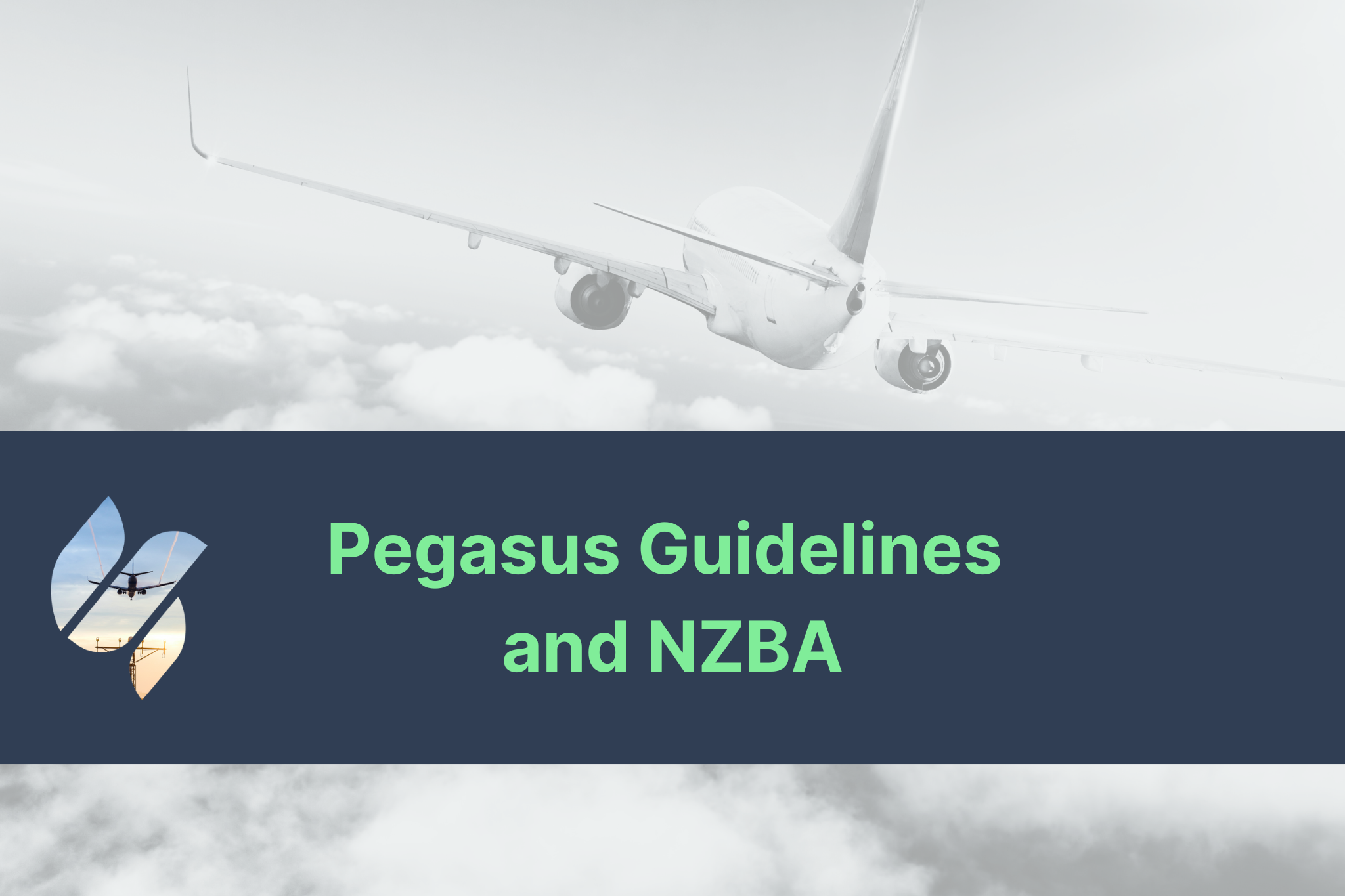 Pegasus Guidelines Supporting NZBA Reporting | PACE Academy